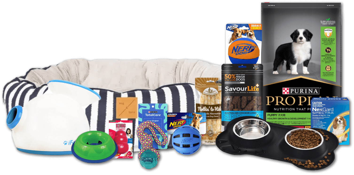 Buy, Manage and Care for your dog - Love My Dog Club